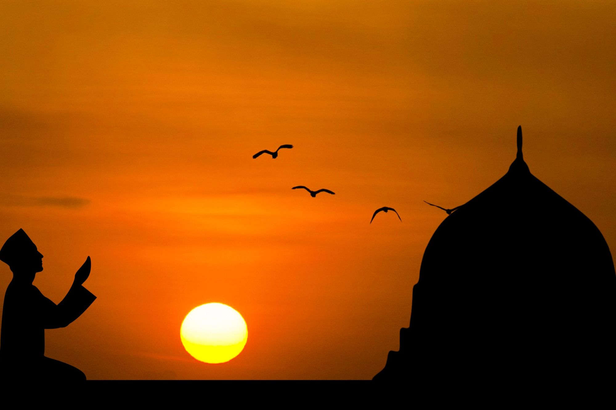 Umrah Services Fly Siyana umrah-services-fly-siyana