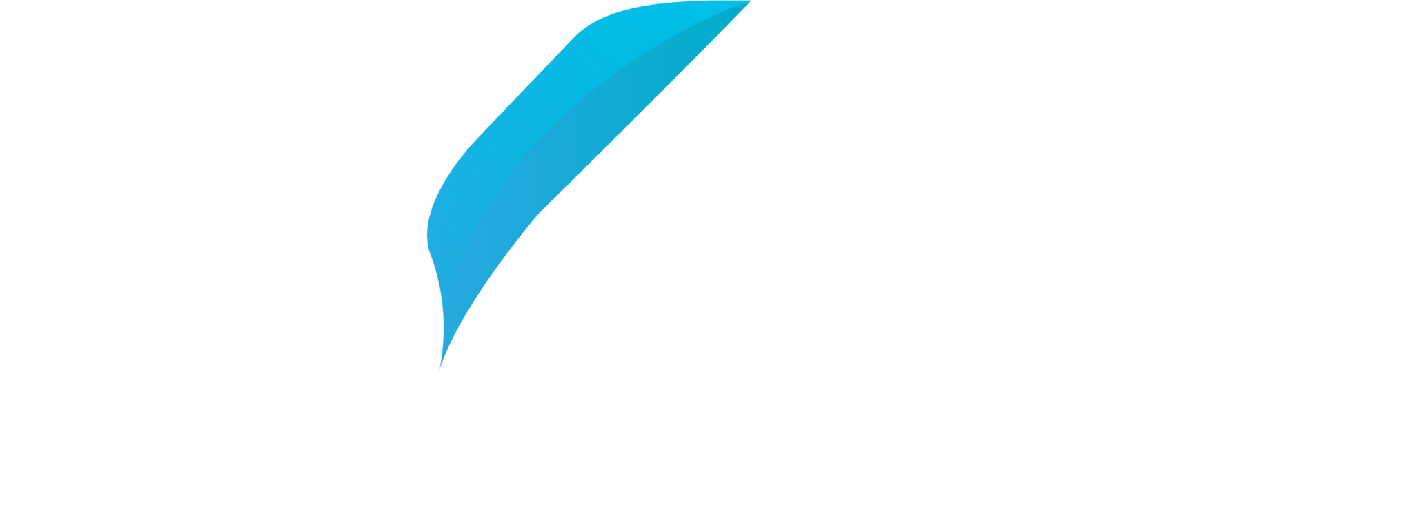 Fly Siyana – Your Perfect Travel Partner